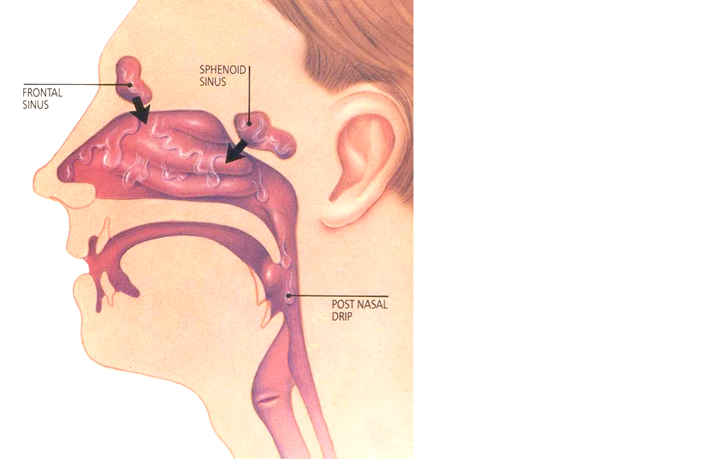 Dr A B John Sr Consultant ENT Surgeon A B John Ear Nose